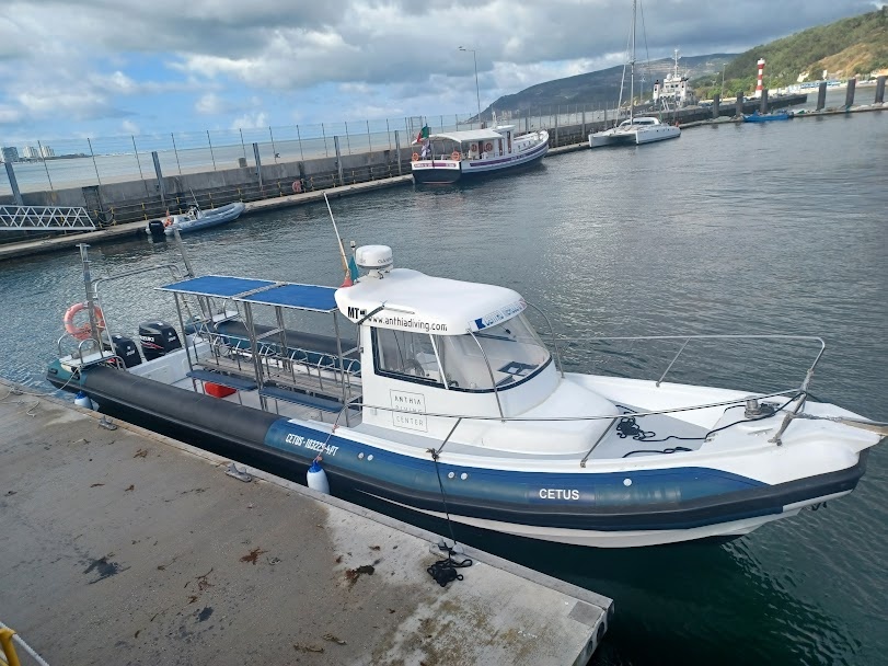 Cetus Yacht Charter | Arrábida Life